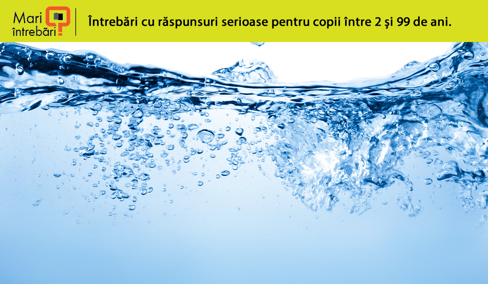 De ce este apa udă?