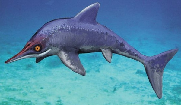 Un „monstru marin” misterios îi uimeşte pe cercetători