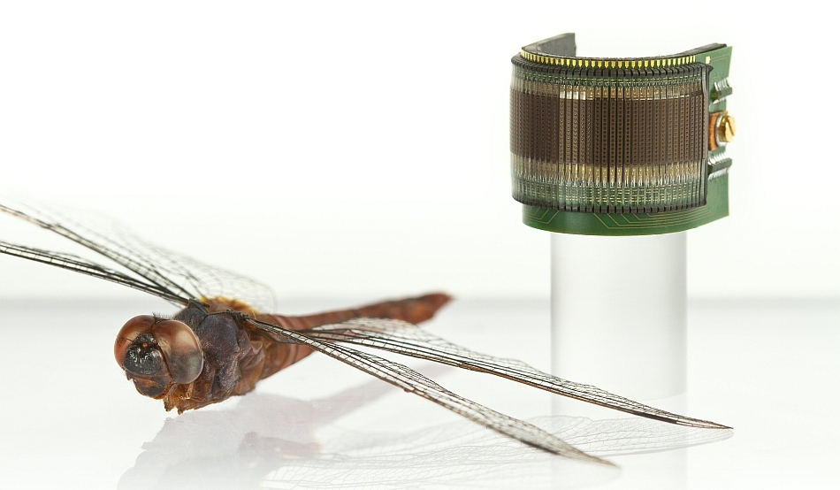 A fost creat primul ochi artificial inspirat de structura organului ...