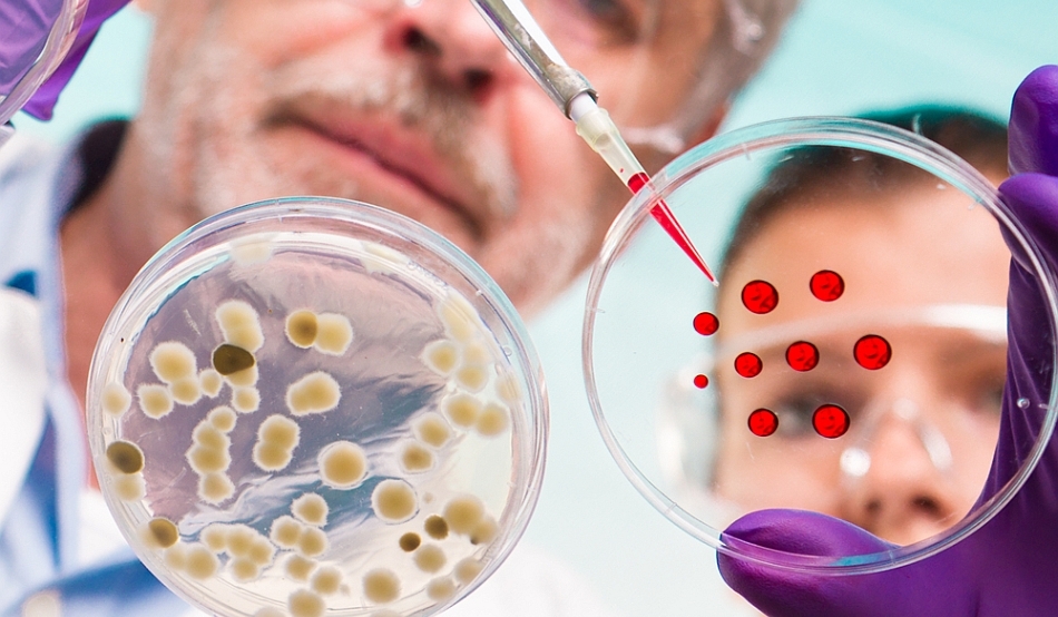 Bacteriologul Julius Richard Petri, inventatorul vaselor ce-i poartă ...