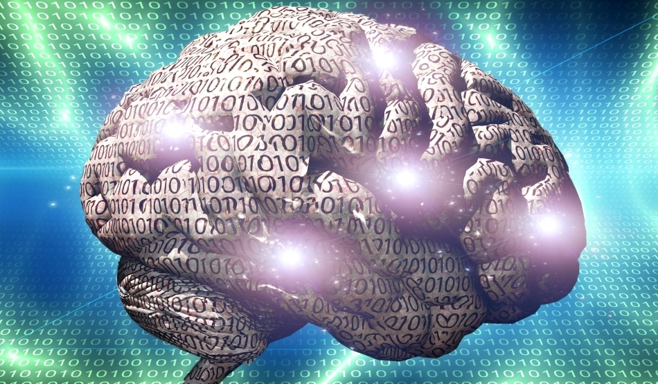 Cum să construieşti un creier uman