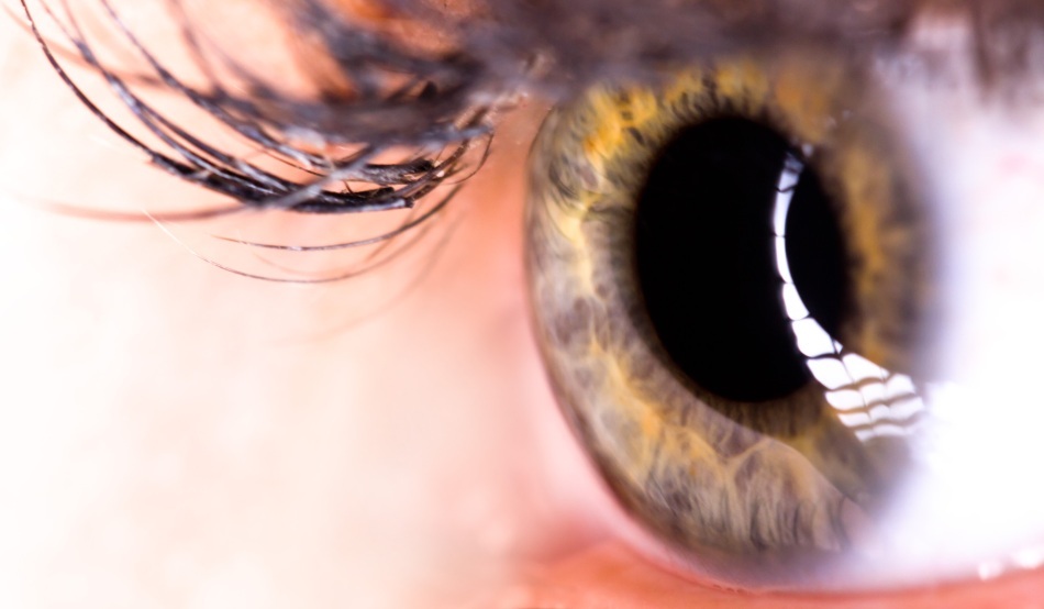 Surpriză pentru anatomişti: a fost descoperită o nouă componentă a ...