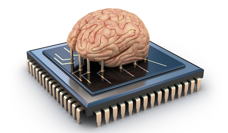 Microcipurile care imită creierul uman – cea mai nouă invenţie a ...