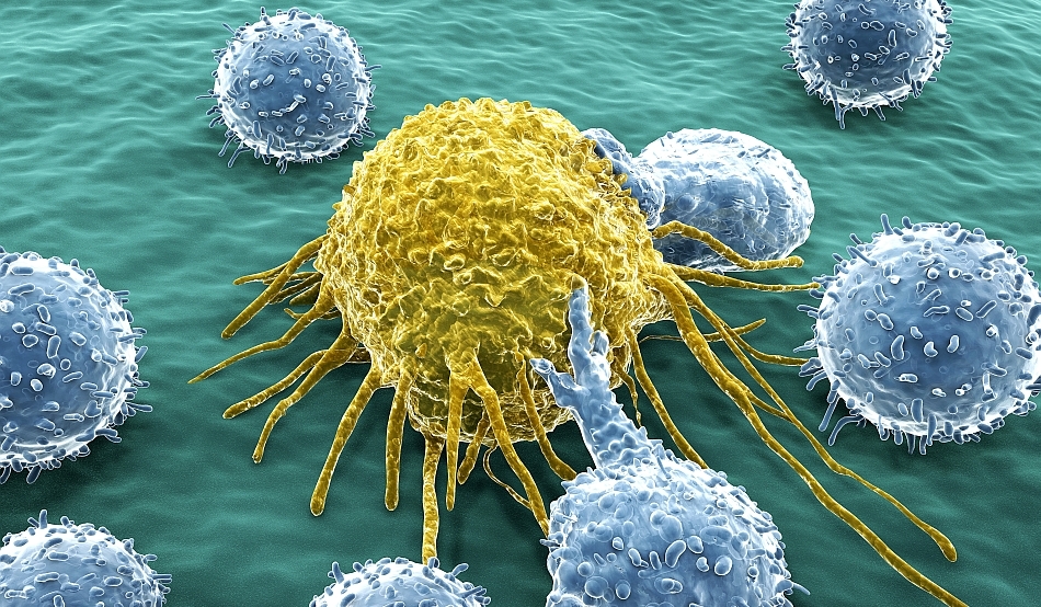 O nouă strategie în lupta cu cancerul: cercetătorii au „convins ...