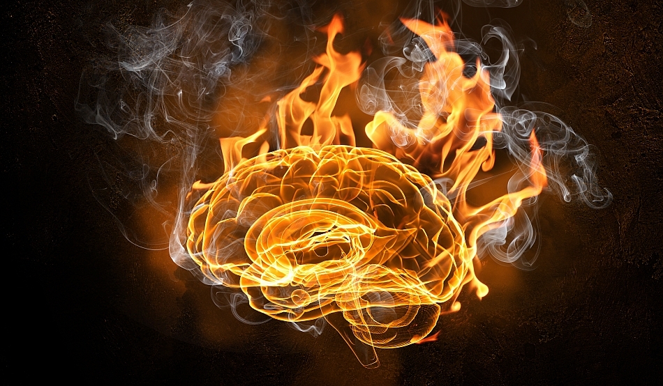 Cum arată un creier uman care s-a păstrat 4000 de ani după ce a fost ...