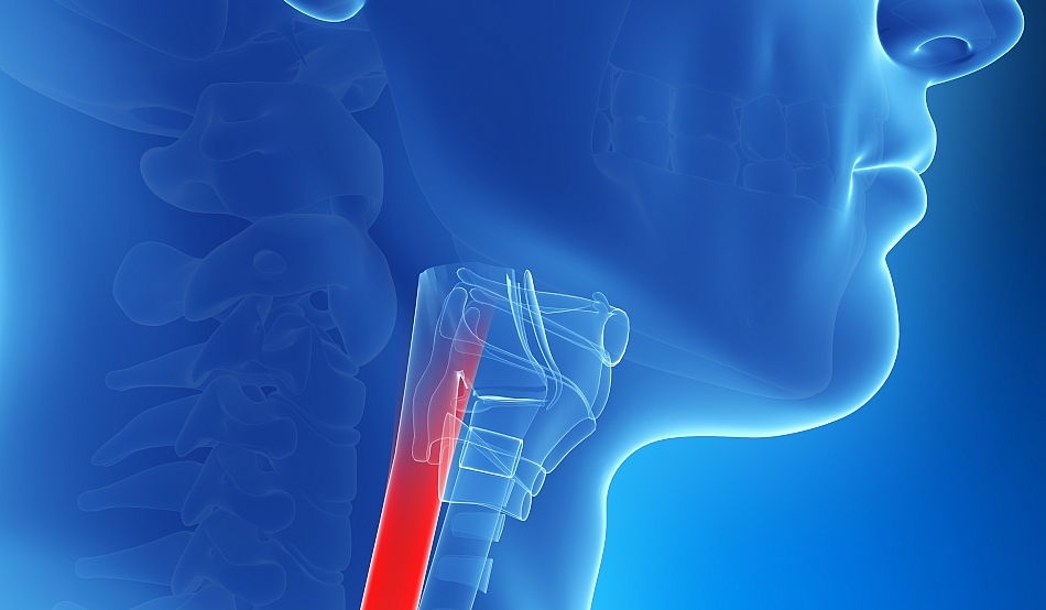 Premieră pentru România şi Europa de Sud-Est: o operaţie inovatoare ...