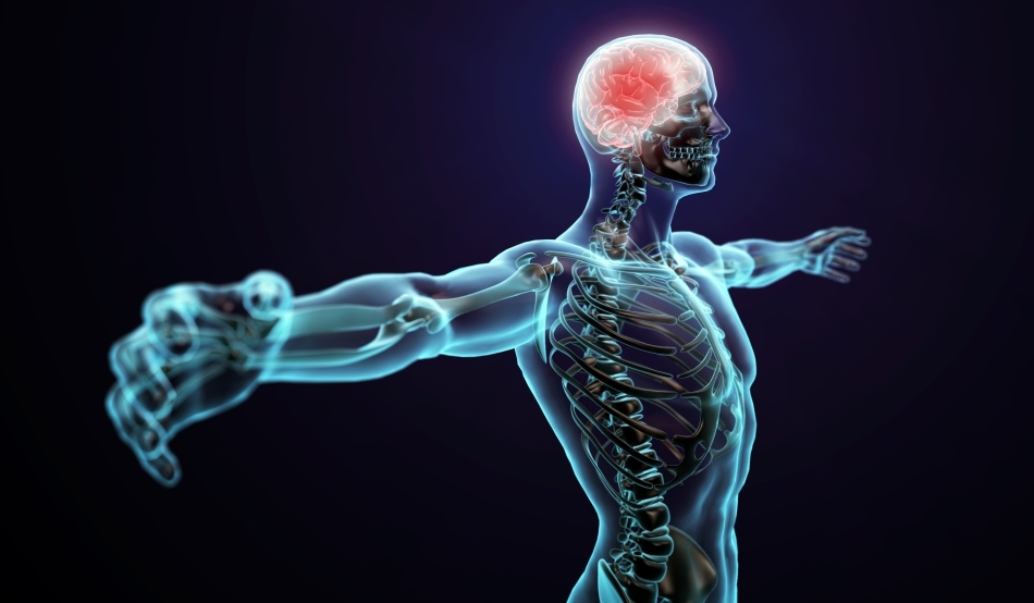 Fascinant: cum se aud în mod normal nervii din corpul nostru şi sunetul ...