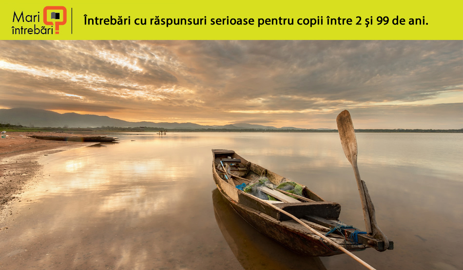 Care sunt diferenţele dintre deltă şi estuar?