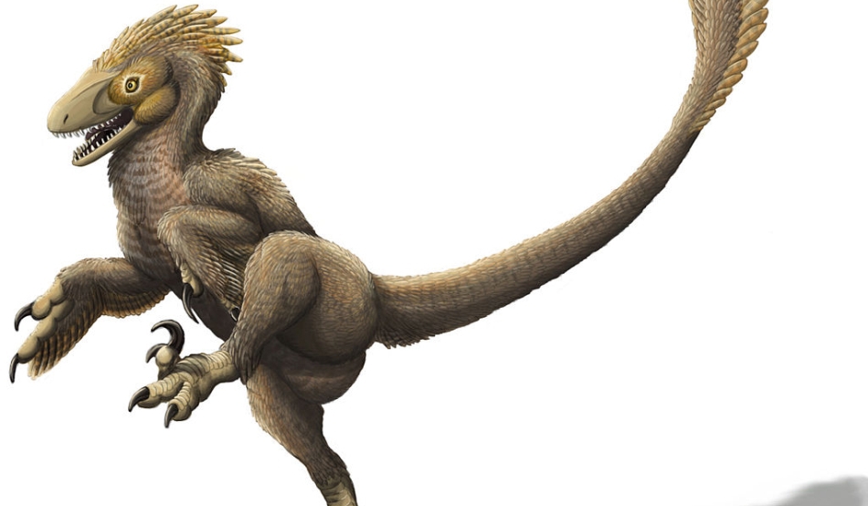 Balaurul Bondoc, vedeta unei expoziţii unice în România la Geoparcul ...