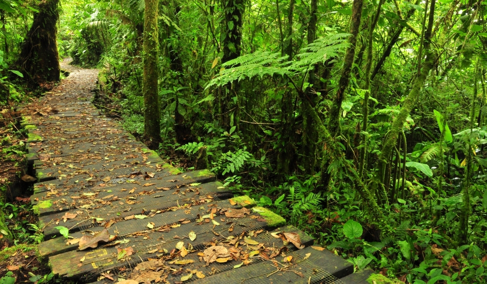 Costa Rica este cea mai apreciată destinaţie de către turişti. Iată pe ...