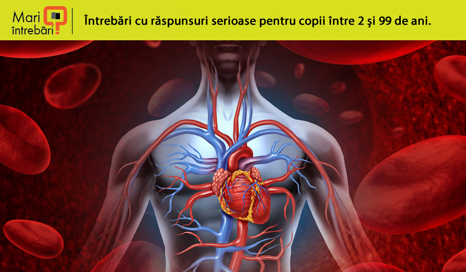 Care sunt organele şi părţile din corpul omenesc care pot fi înlocuite?