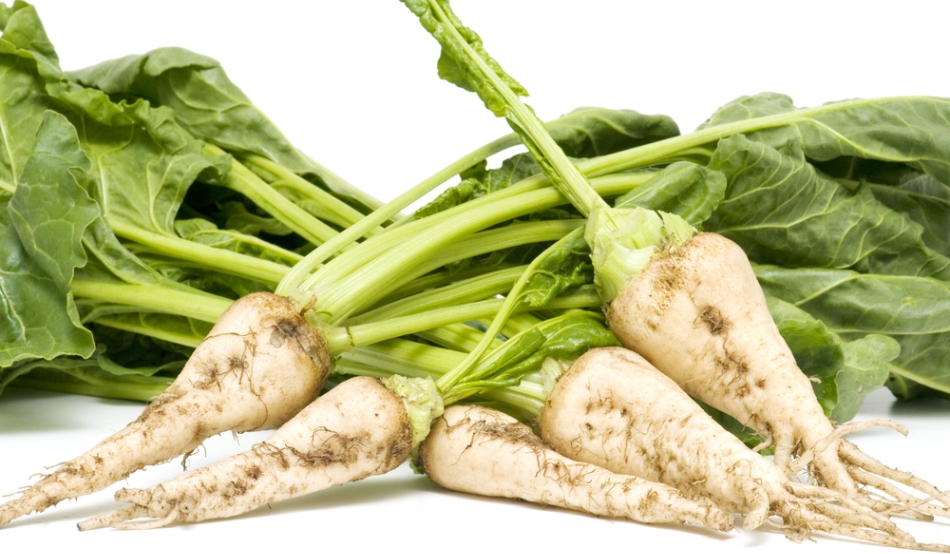 Cum ne-ar putea ajuta sfecla să depăşim deficitul de sânge pentru ...