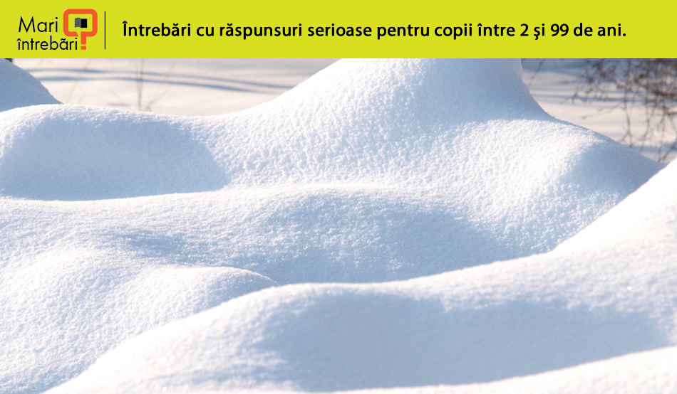 De ce zăpada este albă?