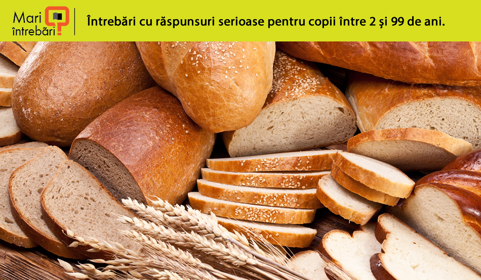 De ce mâncăm pâine?