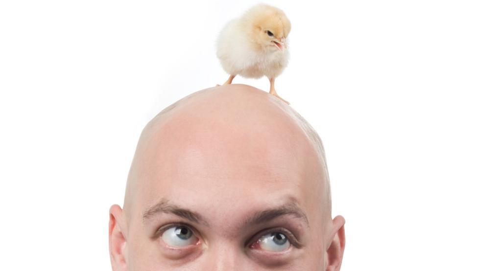 Cercetătorii au descoperit o asemănare surprinzătoare între găini şi ...