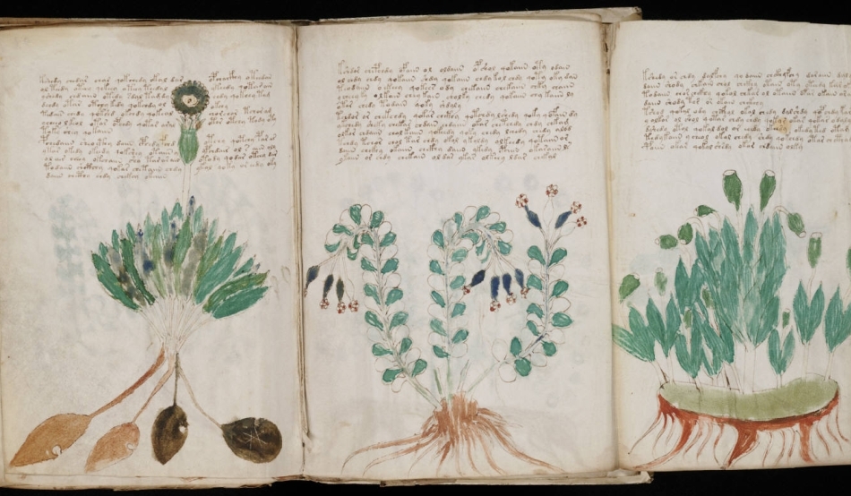 Povestea unui manuscris învăluit în mister, de la descoperirea sa, în ...