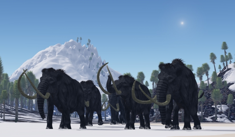 Mamutul lânos ar putea să "renască". Proiect ştiinţific incredibil ...