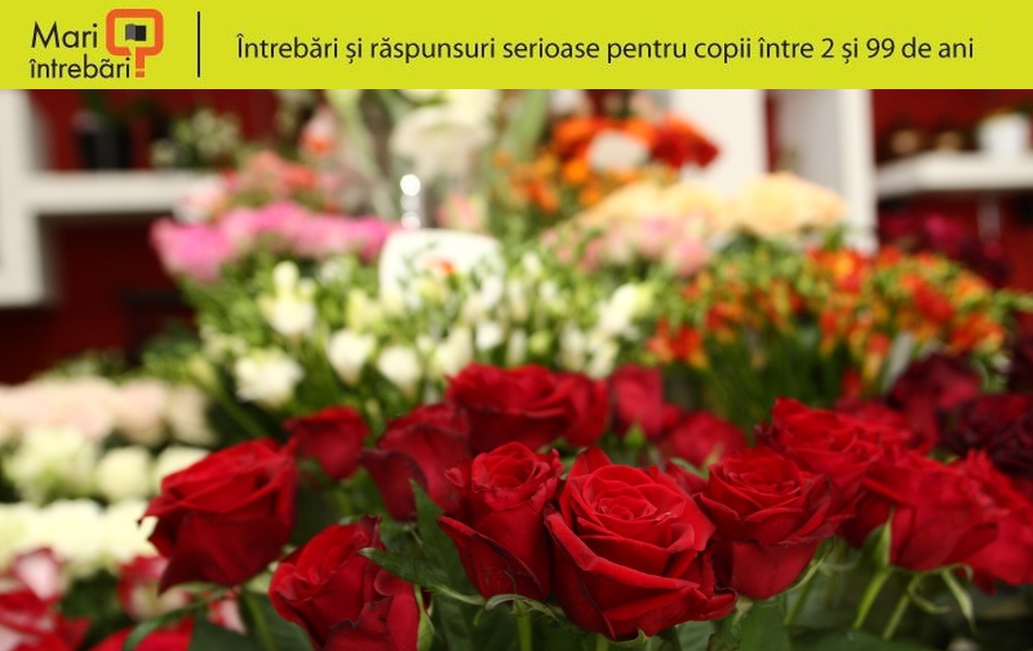 De ce au florile culoare şi miros?