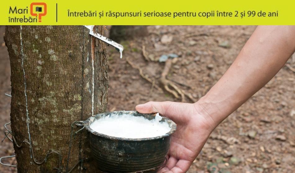 Ce este cauciucul?