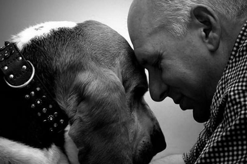 Motivul ştiinţific pentru care CÂINELE este considerat cel mai bun ...