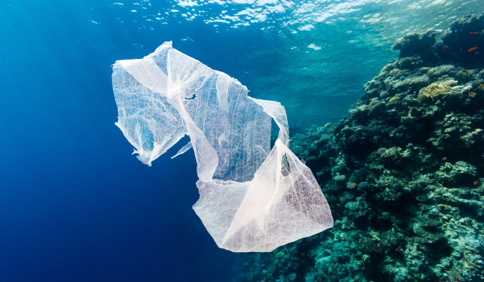 Masa deşeurilor plastice din oceanul planetar riscă să o depăşească pe ...
