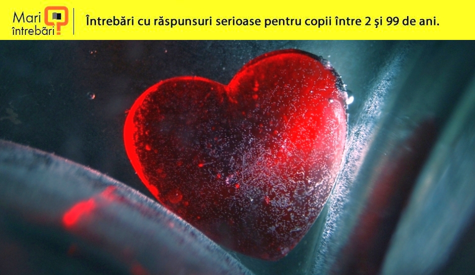 Cum a ajuns inima să simbolizeze dragostea?