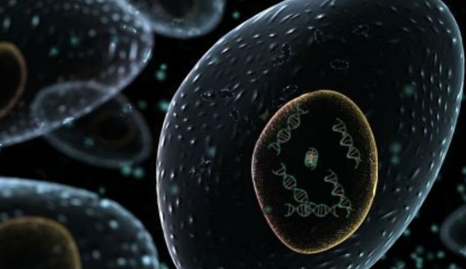 Cercetătorii au găsit ''călcâiul lui Ahile'' al cancerului. ''Acest ...