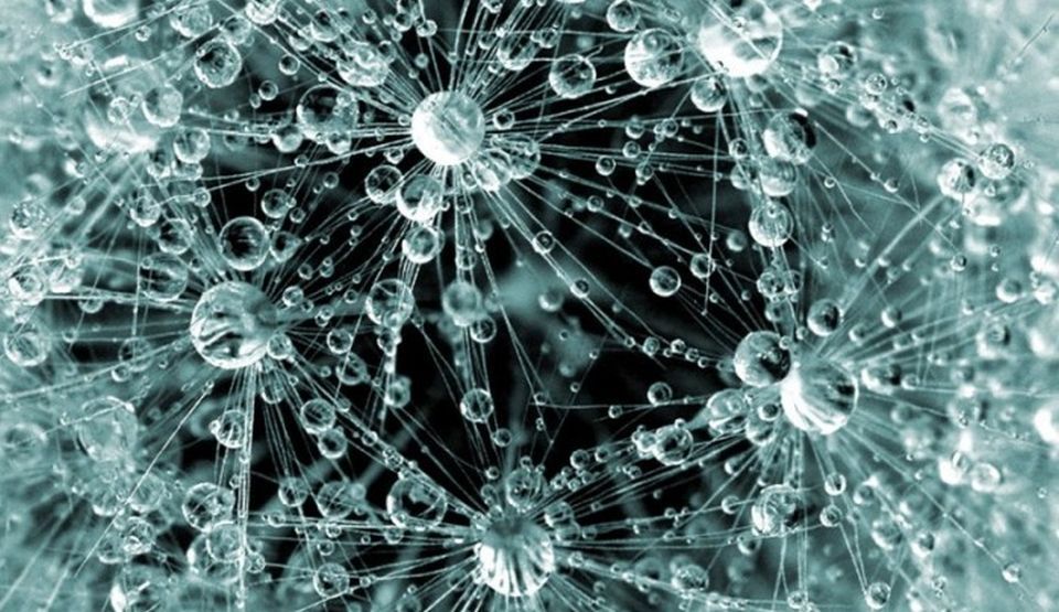 Molecula de apă ascunde încă secrete fascinante. ,,Avem de-a face cu un ...