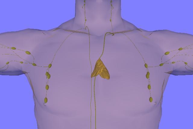 Ce se întâmplă dacă masezi acest loc 30 de secunde