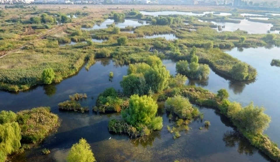 Expoziţie foto pentru strângerea de fonduri necesare conservării ...