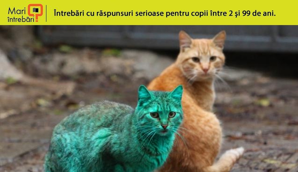 De ce animalele nu au blana verde? VIDEO