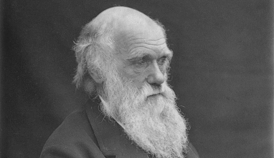 Proiectul ambiţios prin care toate manuscrisele lui Darwin vor fi ...