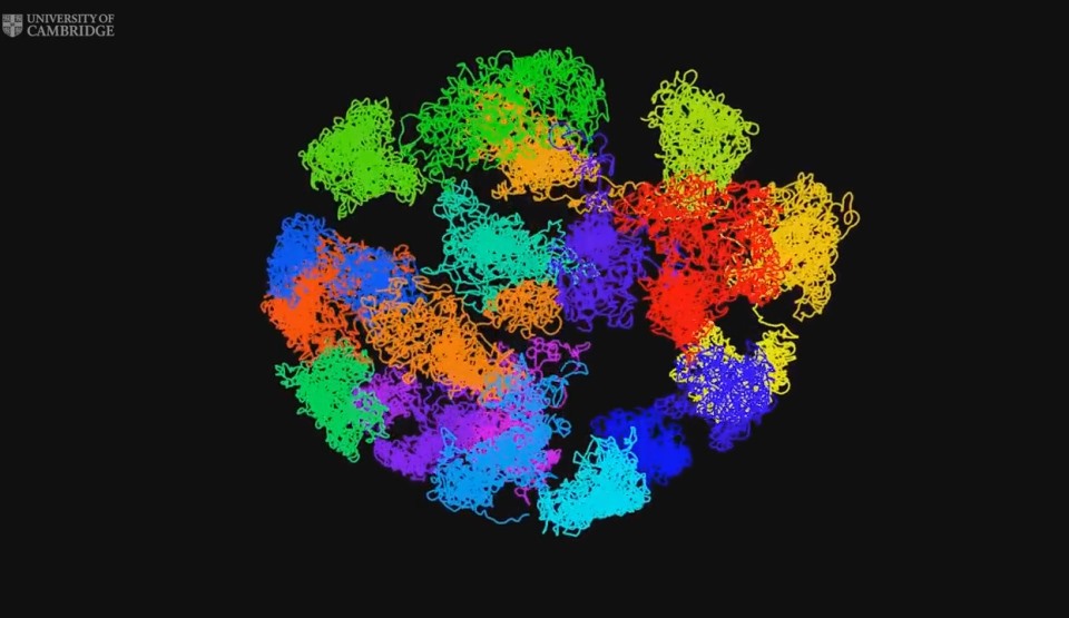 Cum arată de fapt ADN-ul? Un VIDEO publicat de savanţi de la Cambridge ...