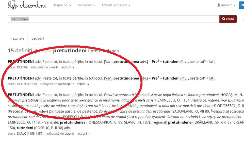 Ce s-a întâmplat pe Dex Online în timpul simulării la proba de limba ...