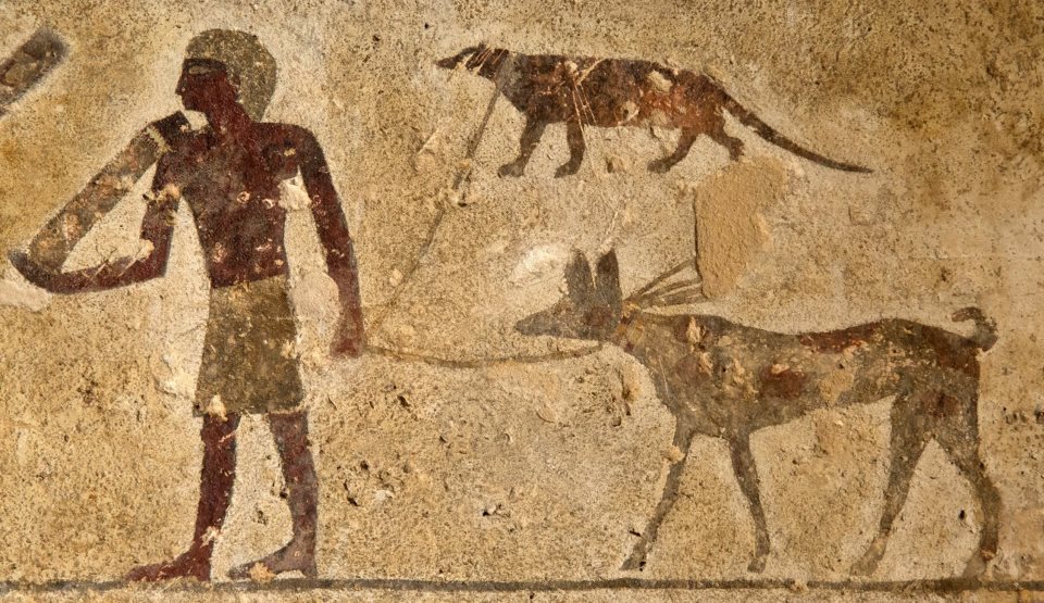 Un desen cu o mangustă în lesă, vechi de 4.000 de ani, dintr-un mormânt ...