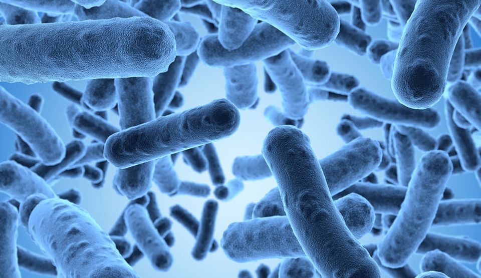 99% dintre microbii din corpul uman sunt necunoscuţi ştiinţei