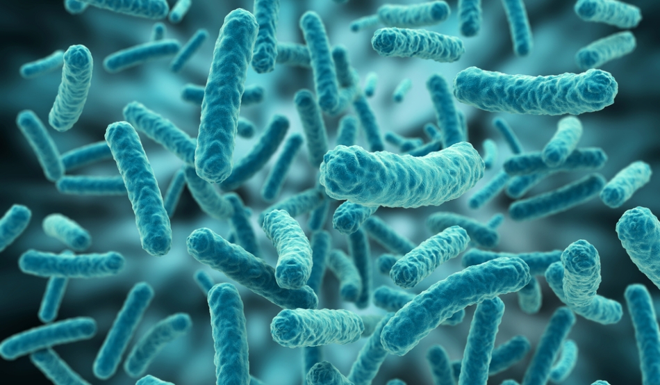 Bacteriile au ''simţ tactil'', ştiu pe ce suprafaţă se află şi când ...