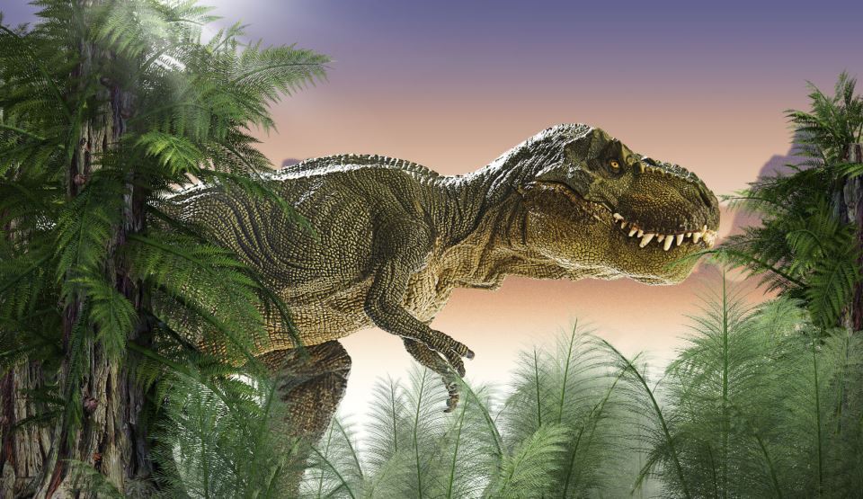 Conform ultimei descoperiri, ''mânuţele'' lui T. Rex nu erau atât de ...