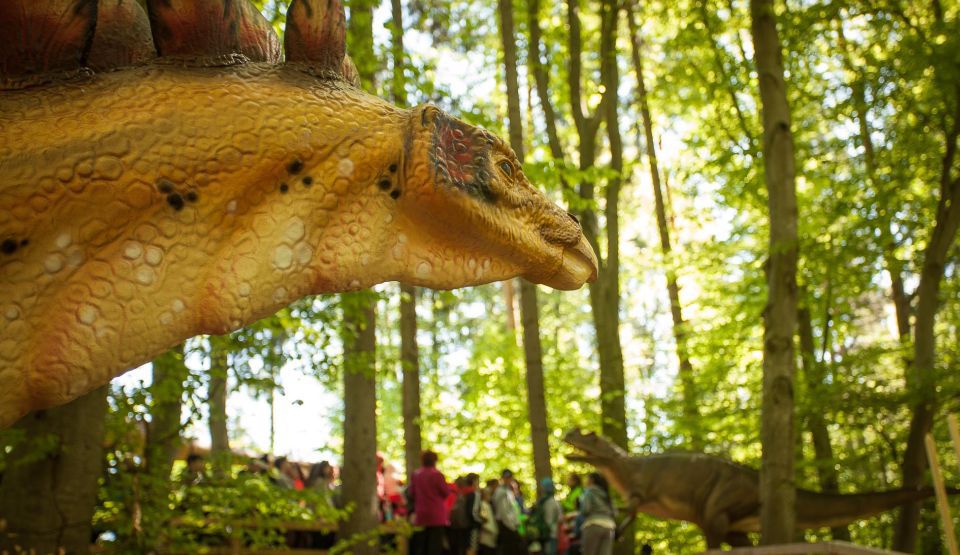 Fosile descoperite pe teritoriul României, într-o expoziţie inedită în ...