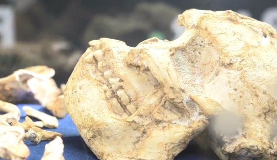 După 20 de ani de excavări, arheologii anunţă o descoperire epocală ...