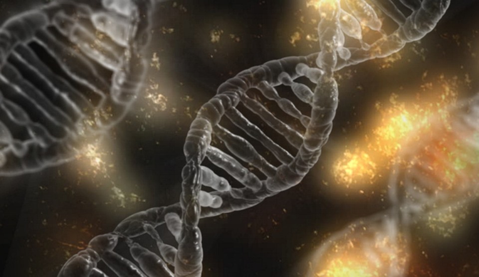 Premieră în ştiinţă: ADN-ul unui om care a murit în 1827 a fost creat ...