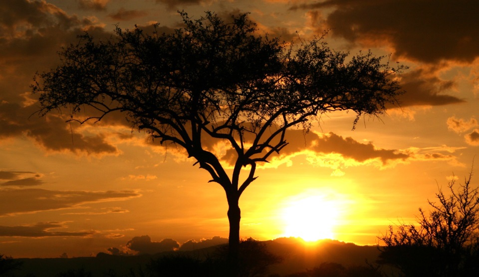 Timpul nu mai are răbdare cu tropicele: cercetătorii avertizează că ...