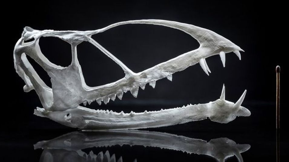 Reptilele înaripate cucereau cerul înainte să apară dinozaurii