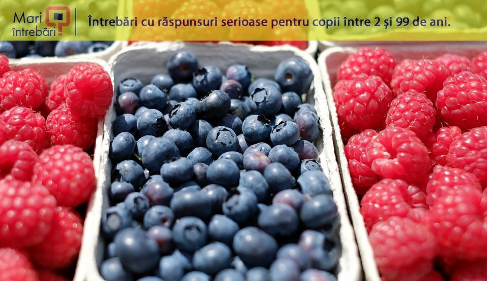 De ce sunt fructele colorate?