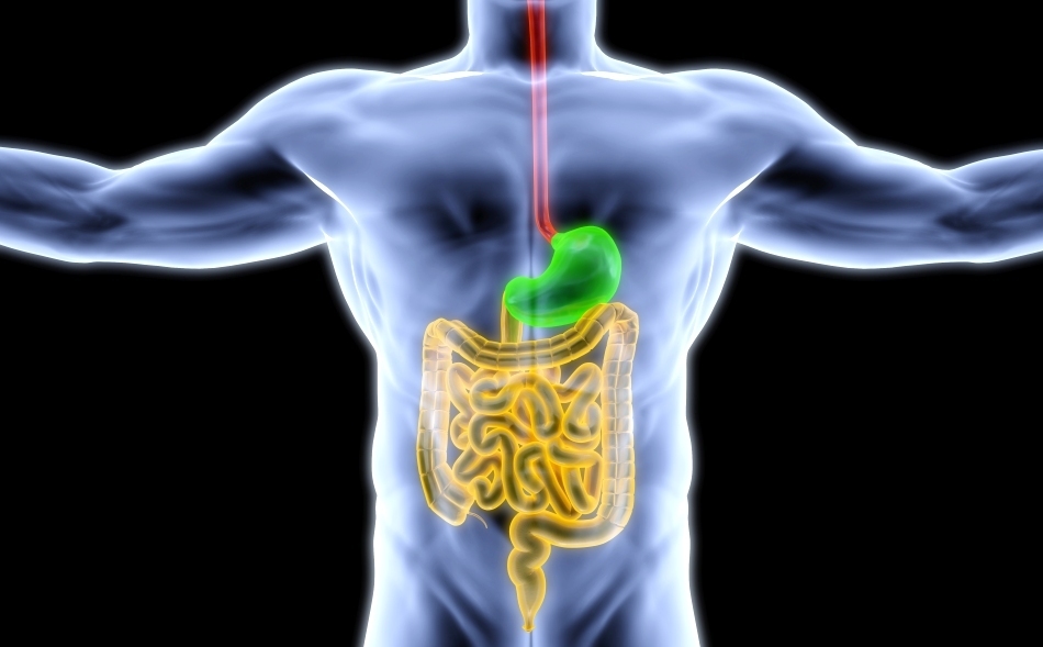 Care sunt cauzele ocluziei intestinale