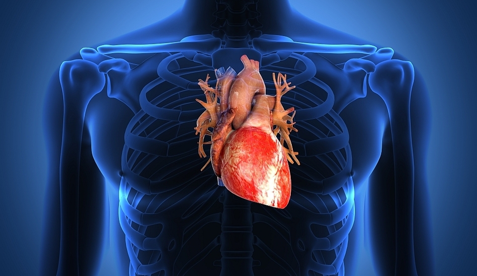 Top 5 alimente benefice pentru sănătatea cardiovasculară