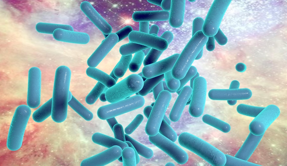 Streptococ betahemolitic A: simptomele şi tratamentul pentru infecţie