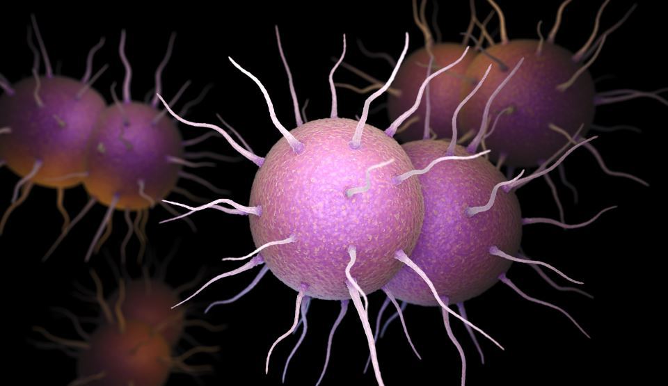 Un nou tratament împotriva gonoreei poate duce la scăderea numărului ...