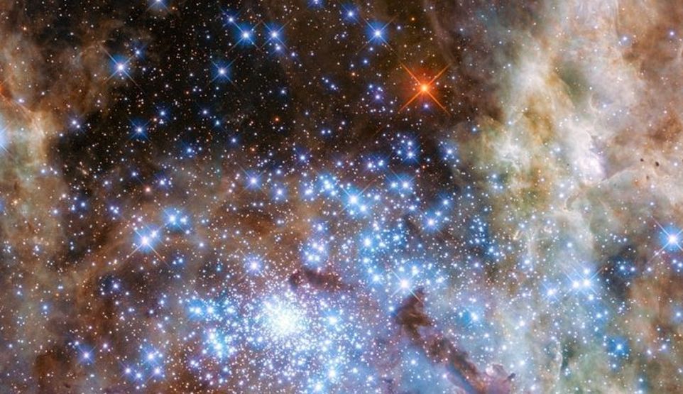 Un tip special de lumină reprezintă un ingredient important pentru ...