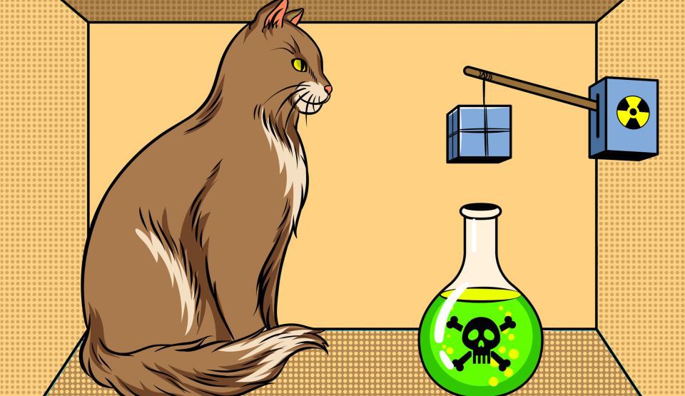 Dacă se adaugă o a doua pisică la experimentul ”Pisica lui Schrödinger ...